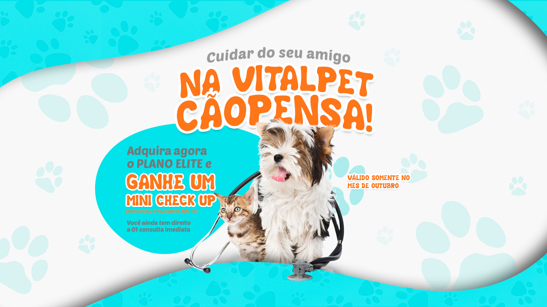 VitalPet Brasil